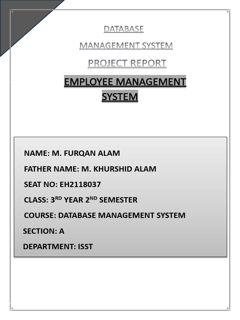 Employeement Management System | PDF | Databases | Usability