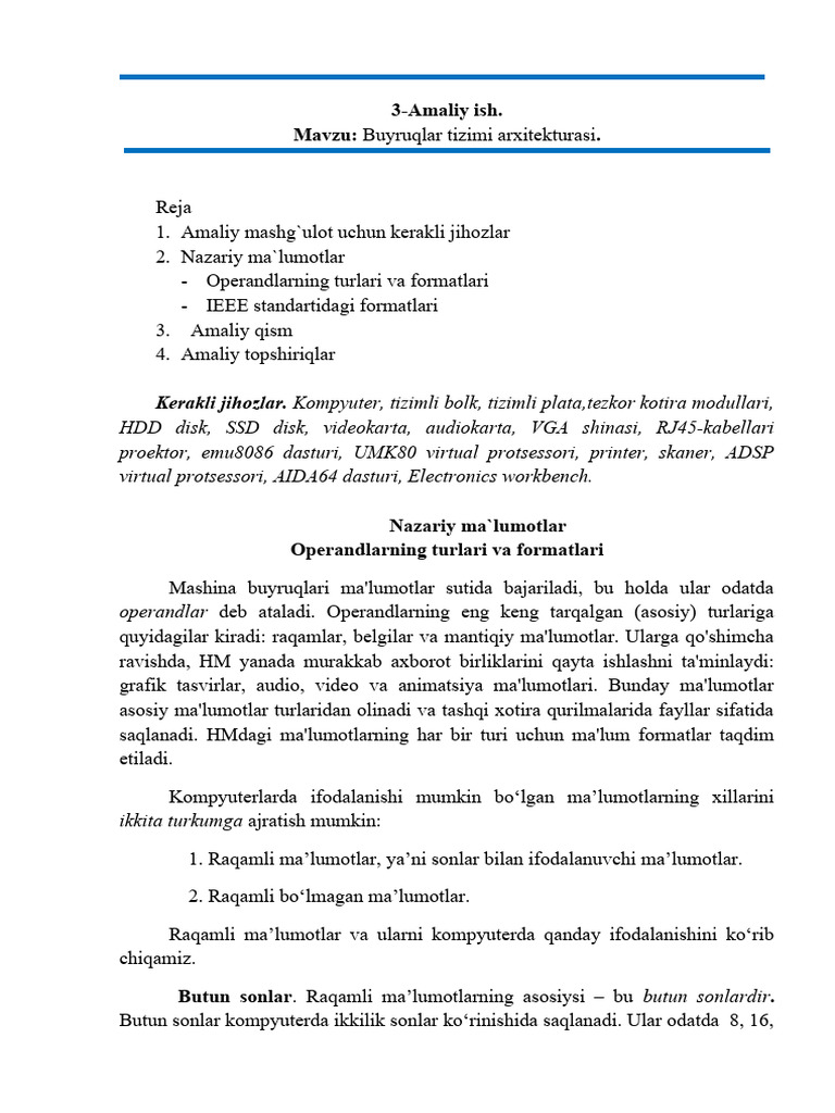 3-Amaliy Ish. Buyruqlar Formati. | PDF
