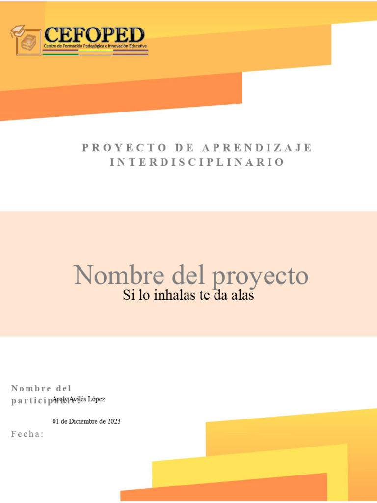 Proyecto de Aprendizaje Interdisciplinario | PDF