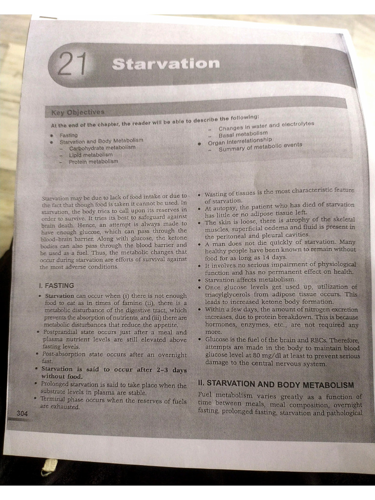 Starvation | PDF