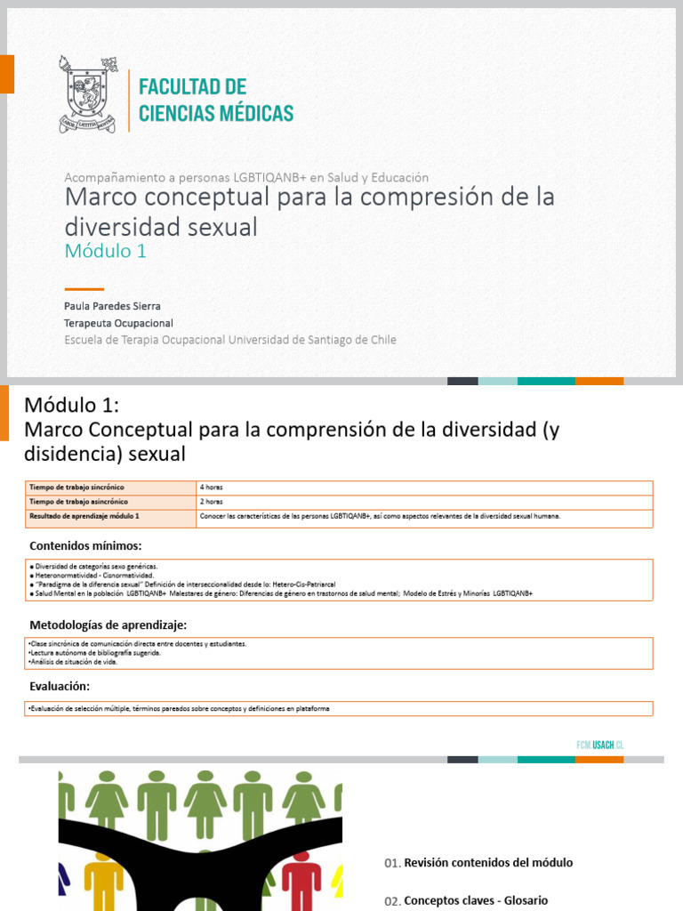 Comprensión de Diversidad Sexual LGBTIQ+ | PDF | Transgénero | Estudios LGBTQIA+