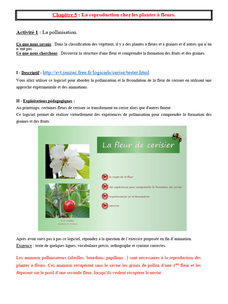 6ème activité repro vgtx correction act1 pollinisation | PDF