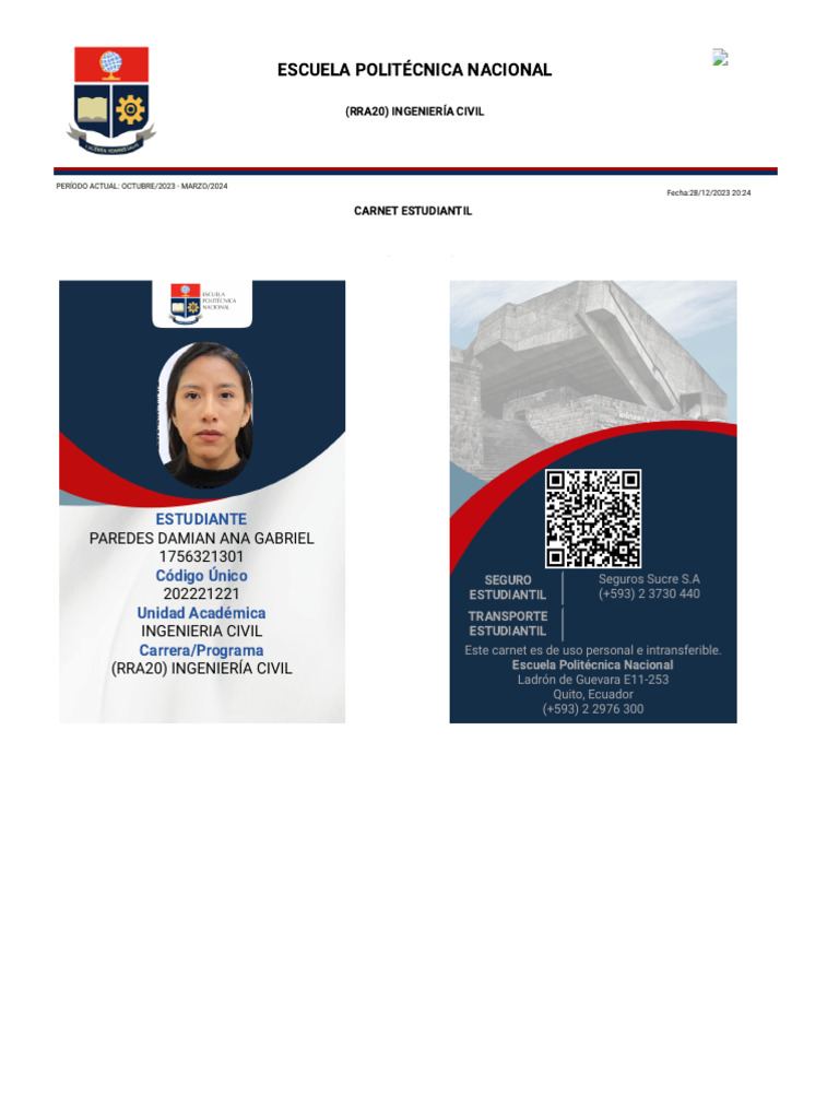 DGIP SAEw | PDF