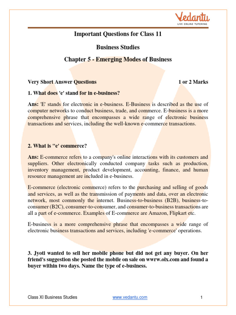 Important Questions For CBSE 11 Chapter 5 | PDF | E Commerce | Electronic Business