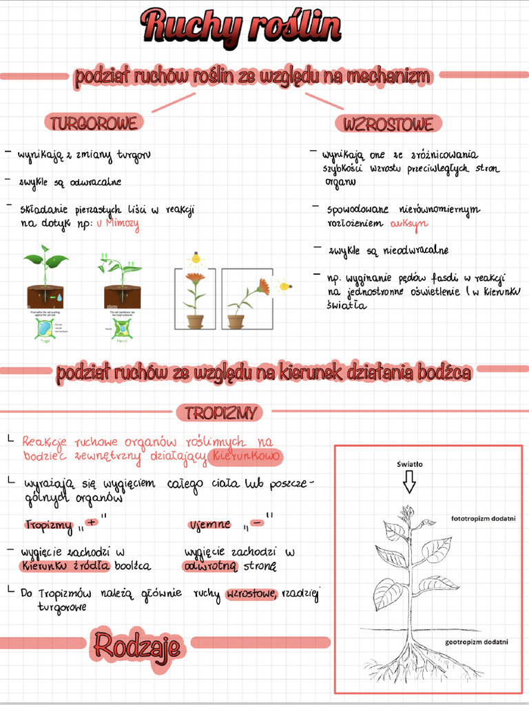 4.10 Ruchy Roślin | PDF