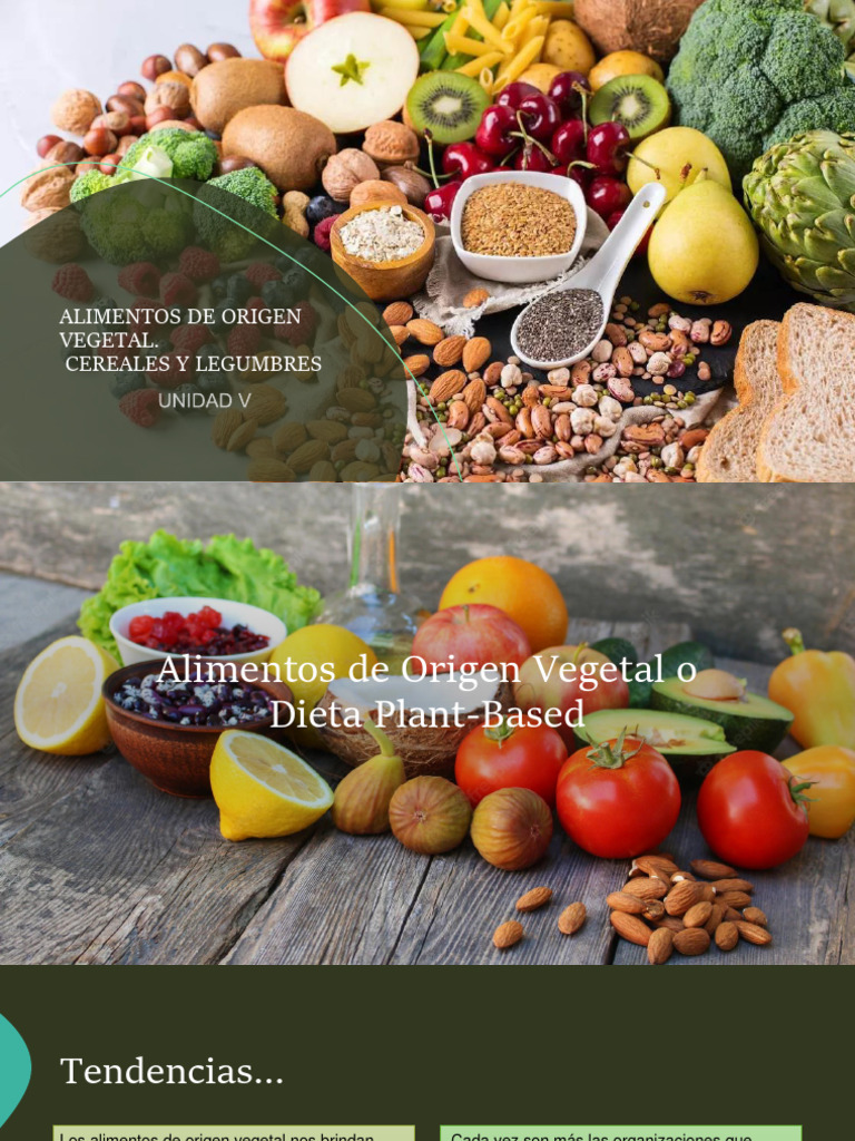 Alimentos de Origen Vegetal | Descargar gratis PDF | Almidón | Alimentos