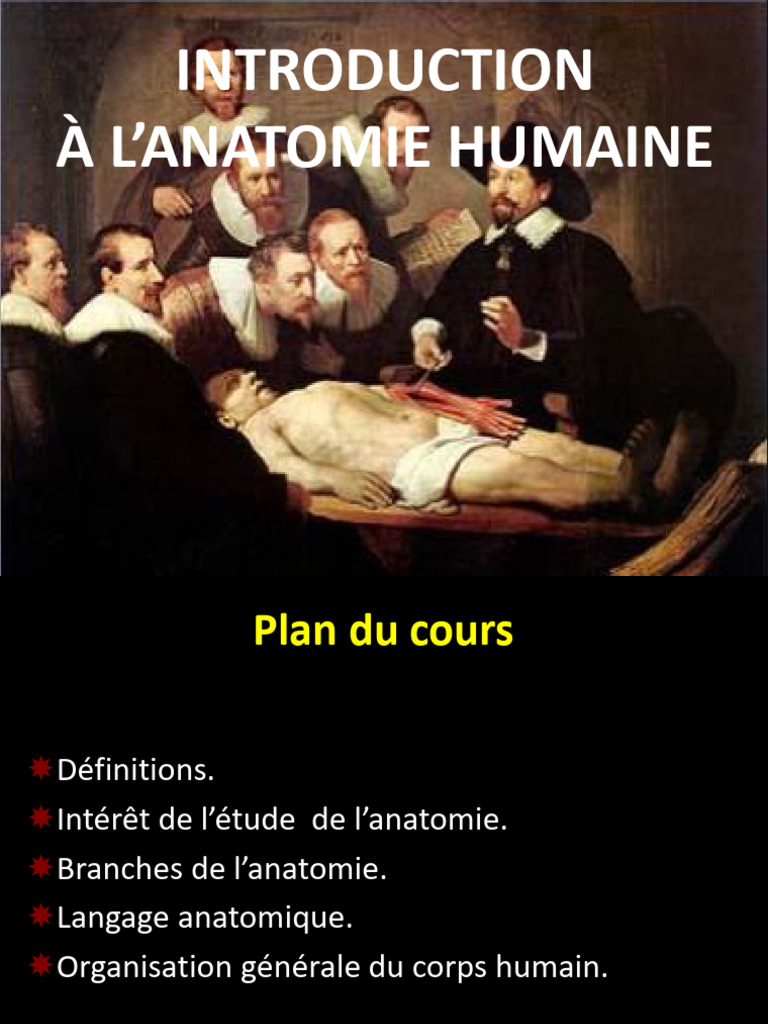 Introduction Anatomie | PDF