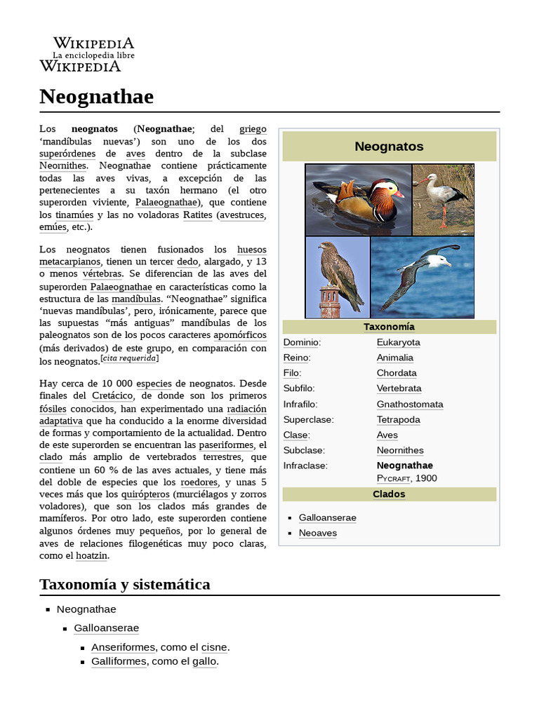 Neognathae | PDF | Neognathae | Aves