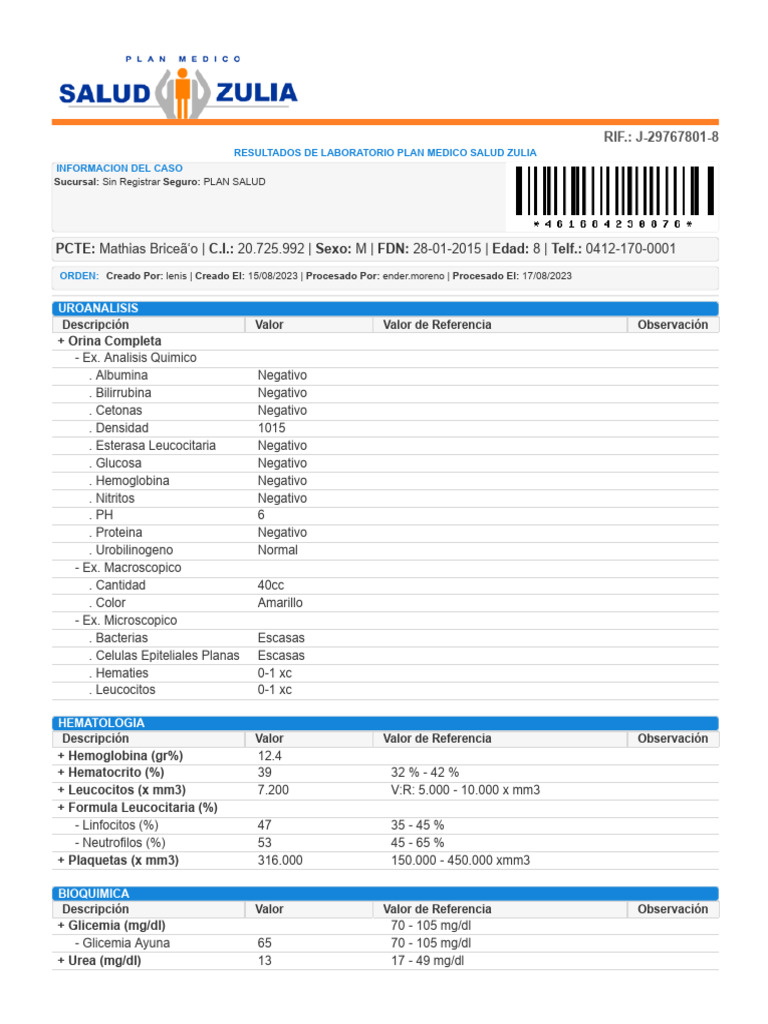 700838839-Mathias Briceã o 2 LAB | PDF