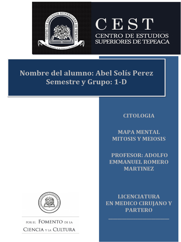 Mapa Mental Mitosis y Meiosis Abel Solis Perez 1D | PDF