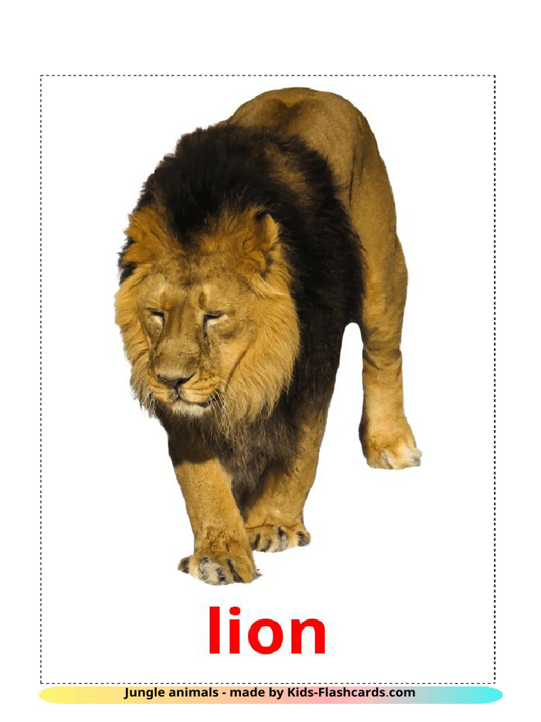 Jungle Animals 1 A4 | PDF
