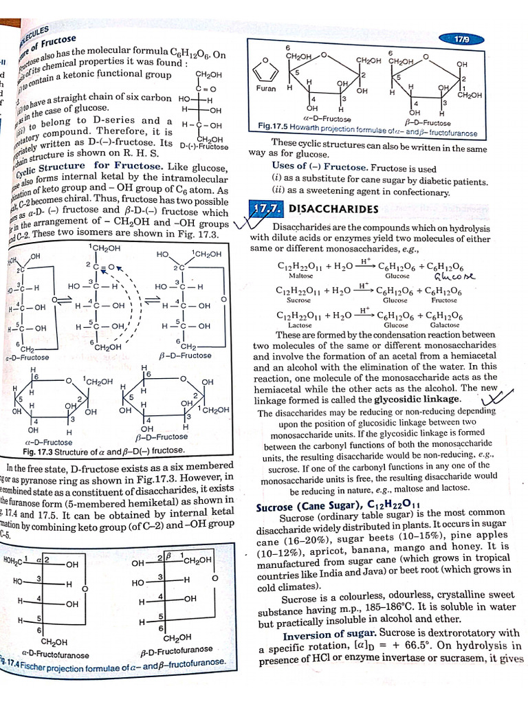 Disaccharides & Polysaccharides | PDF