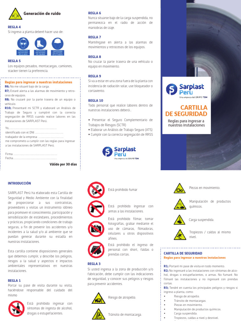 Tríptico SSA | PDF