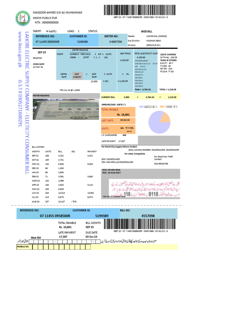 M Ali Wapda Bill | PDF