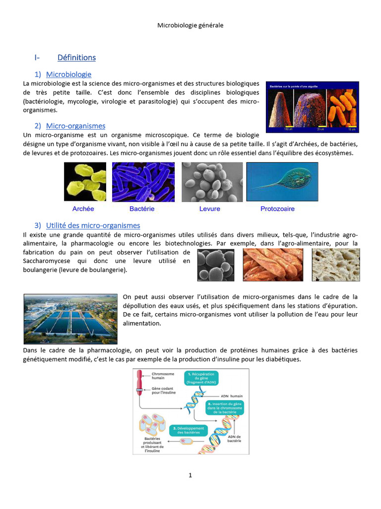 Microbio_CM_1_et_2 | PDF
