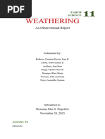 Chemical Weathering with Chalk and Vinegar | PDF | Chalk | Weathering