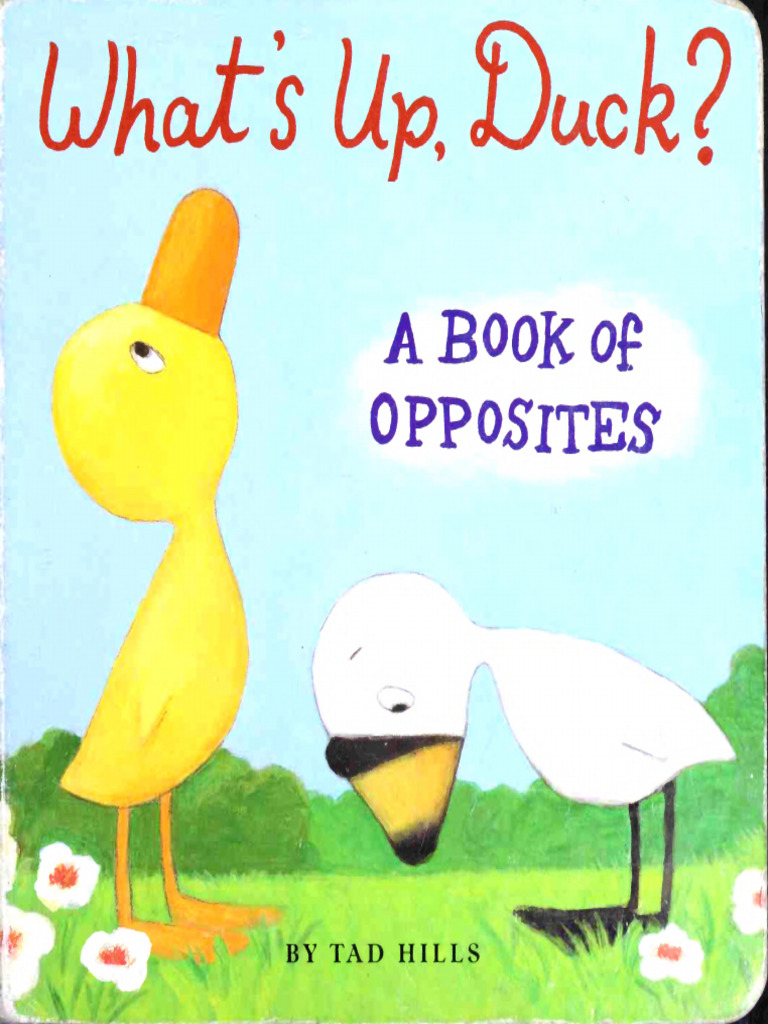 Whats Up, Duck - Englishare | PDF