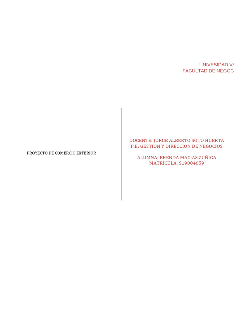 Macias Zuñiga Brenda - Proyecto Final | PDF