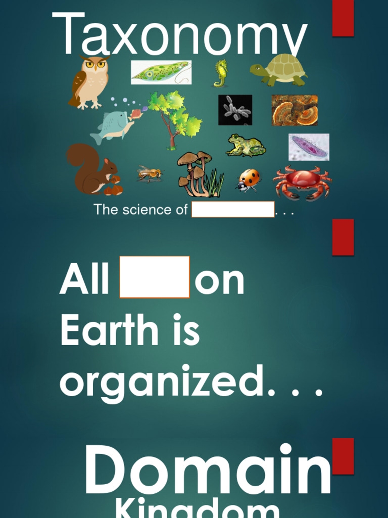 Taxonomy - Student | PDF