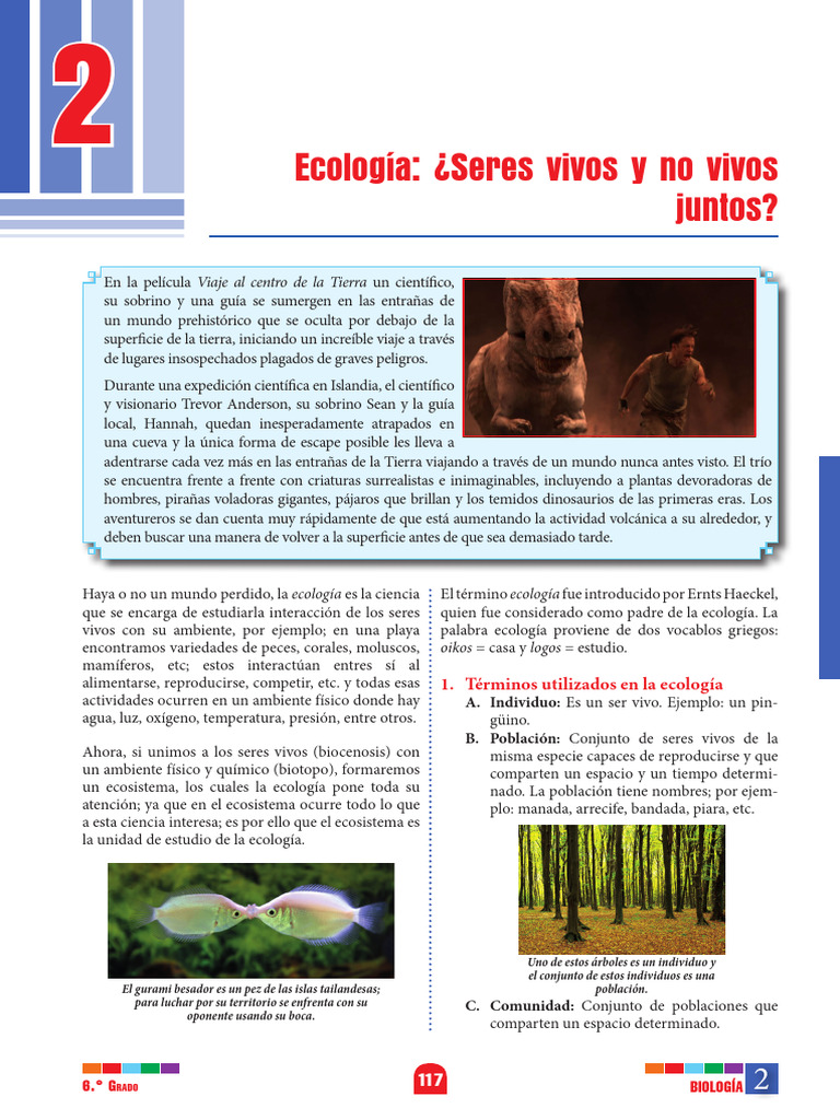 B - P - 6ºgrado - S2 - Ecología Seres Vivos | PDF | Ecología | Ecosistema