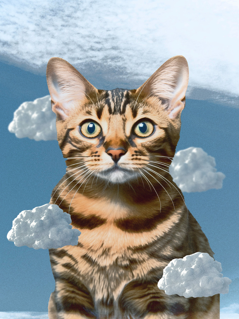 Cat in Clouds | PDF