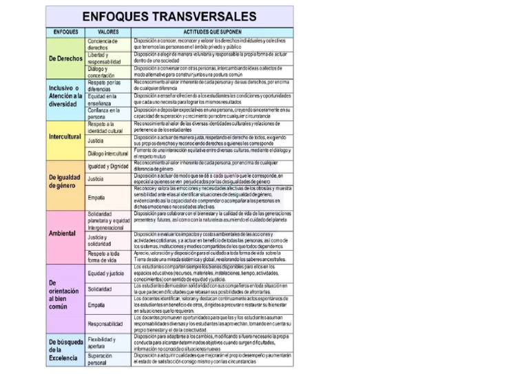 Ficha Enfoque Transversal | PDF