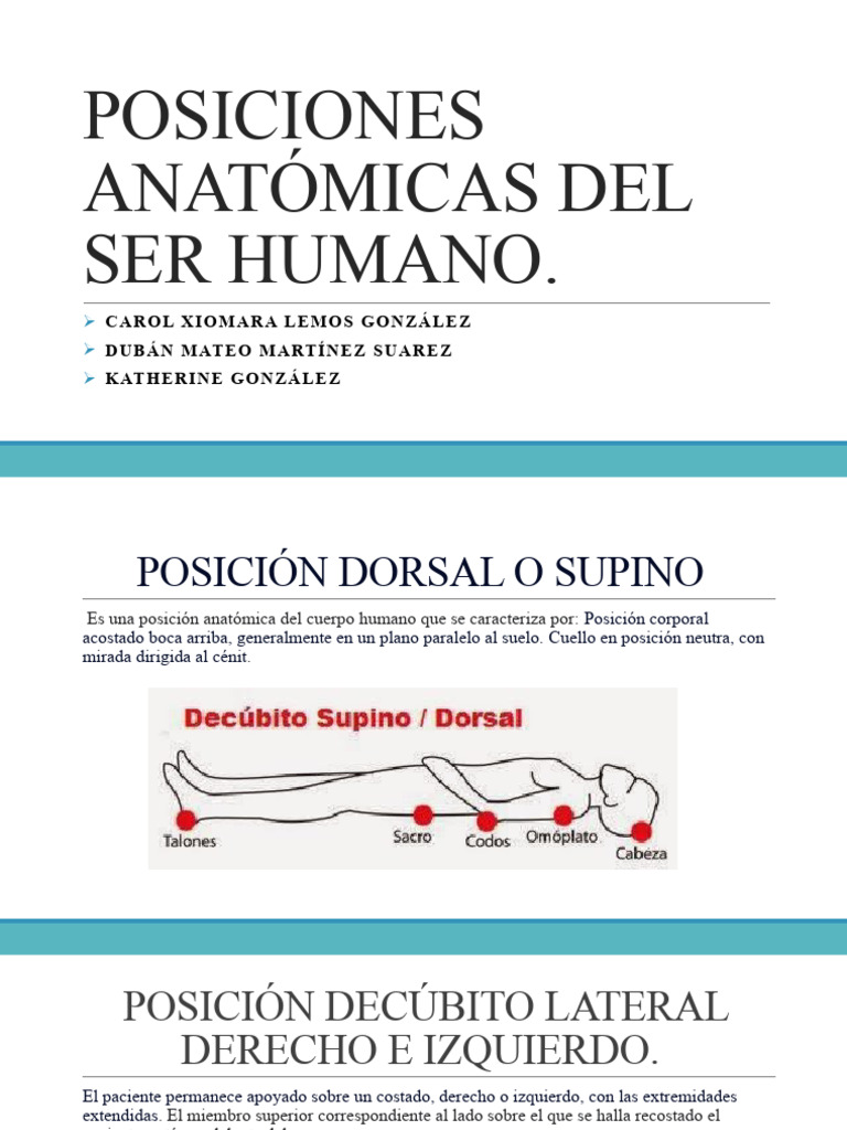 Posiciones Anatómicas Del Ser Humano | PDF | Términos anatómicos de ubicación