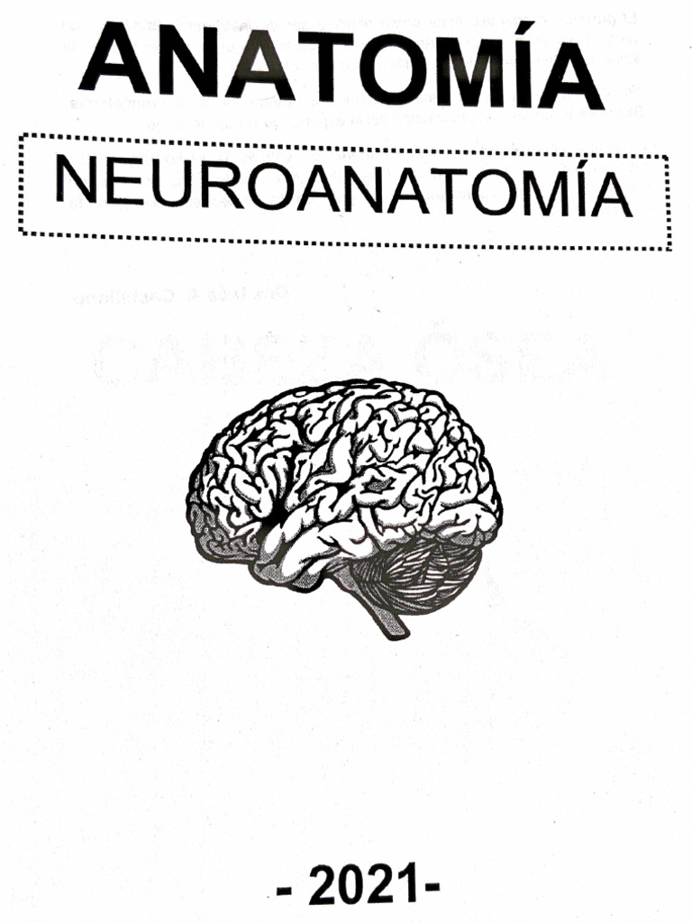 Neuro Castellano 2021 | PDF