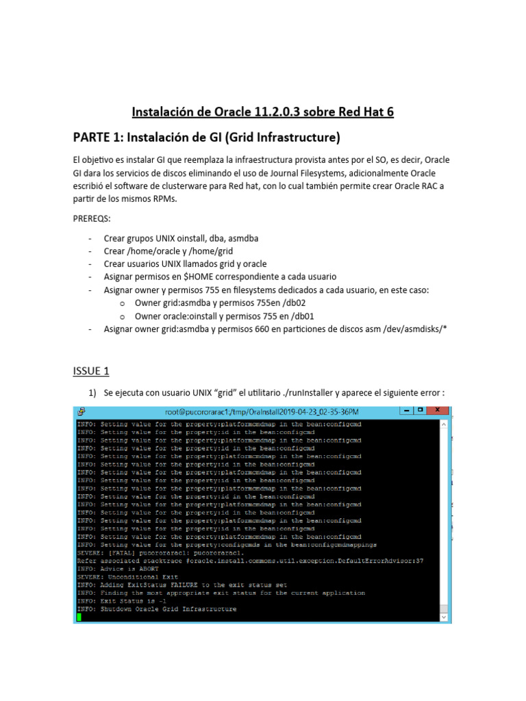 Instalación de Oracle Grid Infrastructure 11 (PH - MX) | PDF