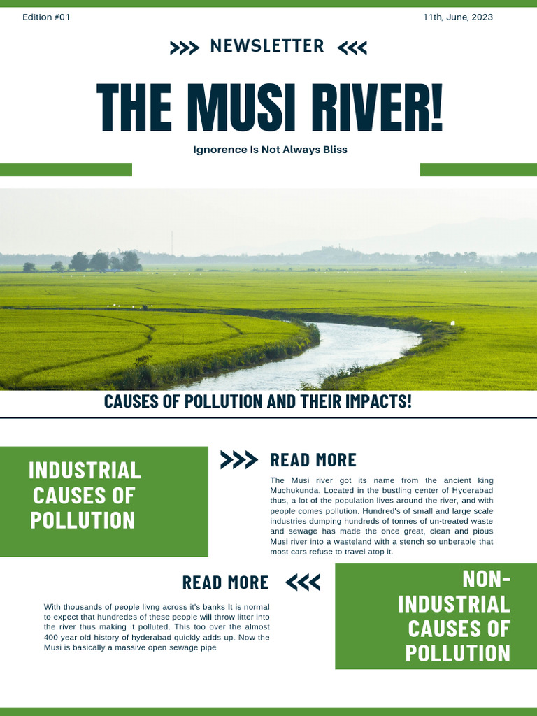 White and Green Professional Nature Sustainability Newsletter | PDF ...