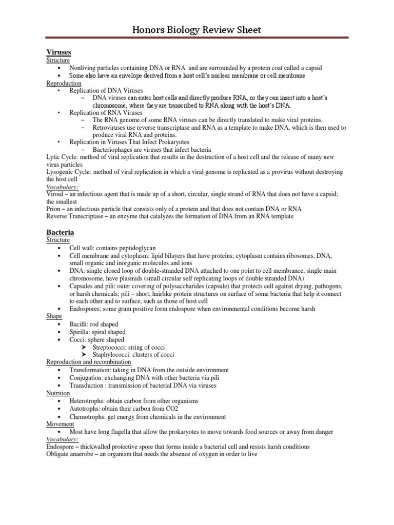 Honors Biology Review Sheet | PDF | Plant Stem | Bacteria