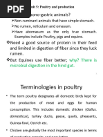 Bird Digestive System | PDF | Digestion | Gastrointestinal Tract