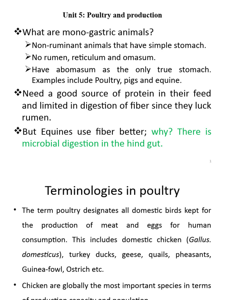Animal Production Unit 5 | PDF | Digestion | Chicken