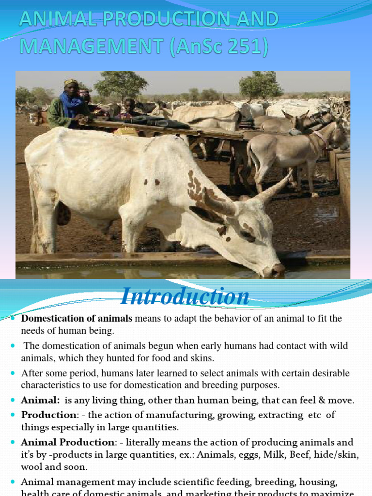 Overview of Animal Production Systems | PDF