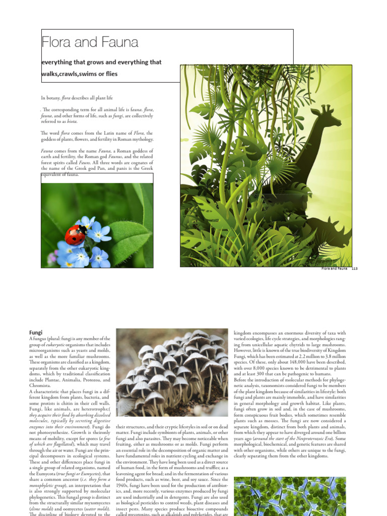 Flora, Fauna, and Fungi Overview | PDF | Home & Garden