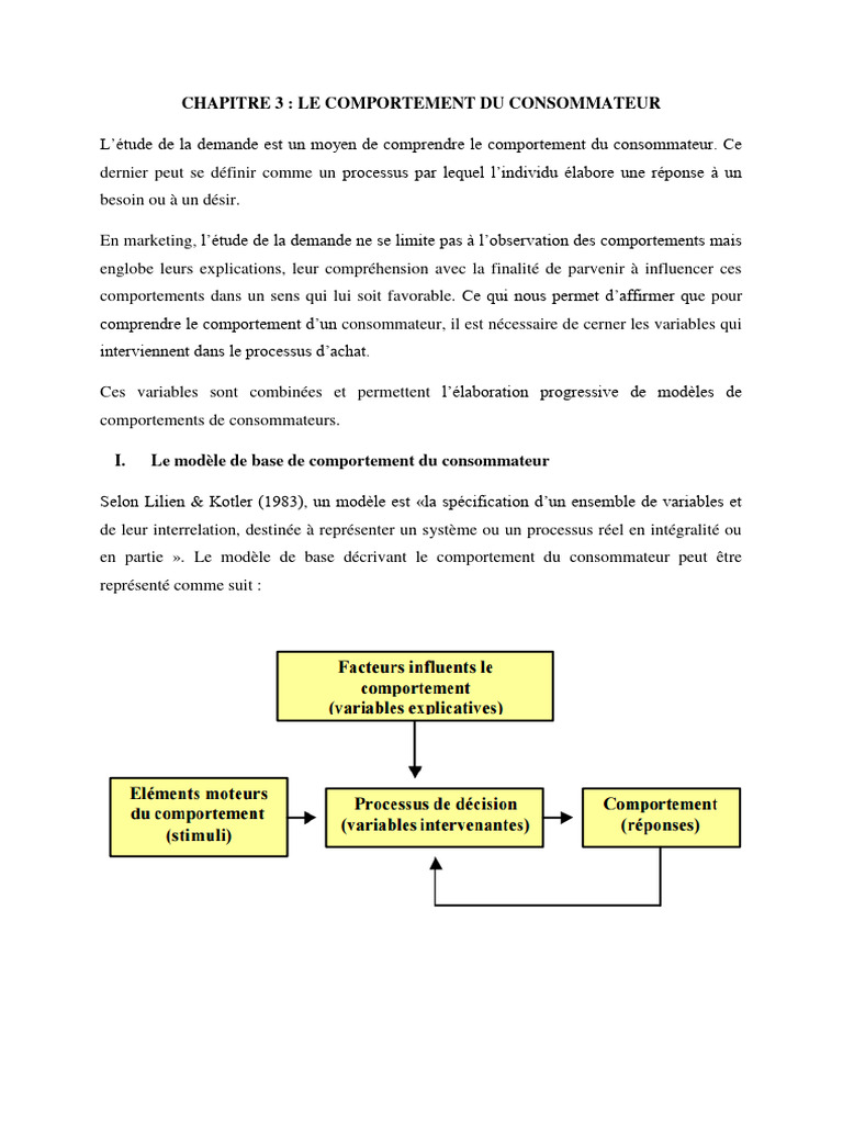 CHAP-3 Le Comportement Du Consommateur | PDF