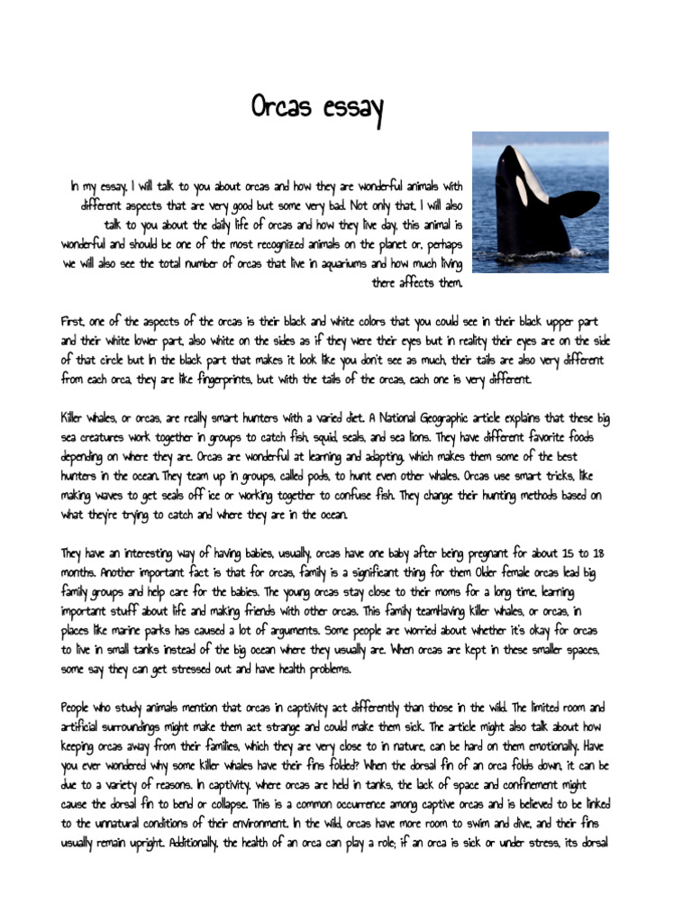 Orcas Essay | PDF