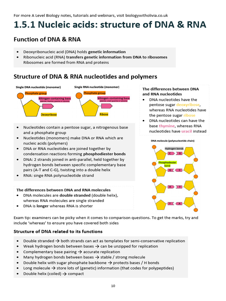 Topic 1 A Level Biology | PDF