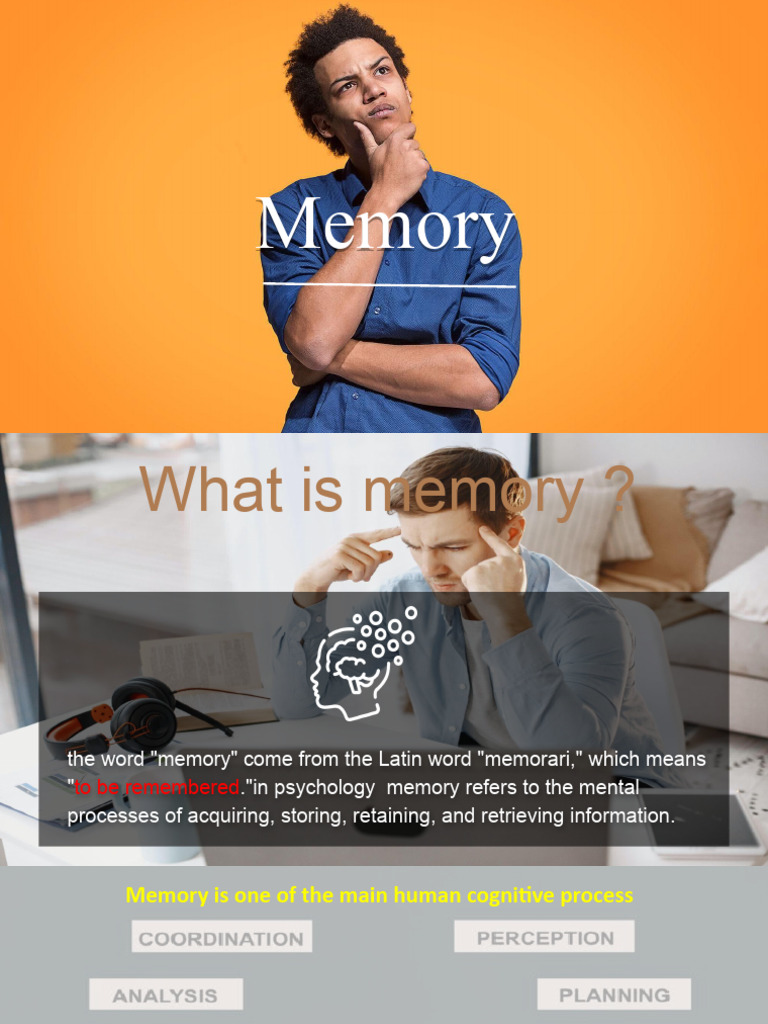 Memory Presentation | PDF | Memory | Recall (Memory)