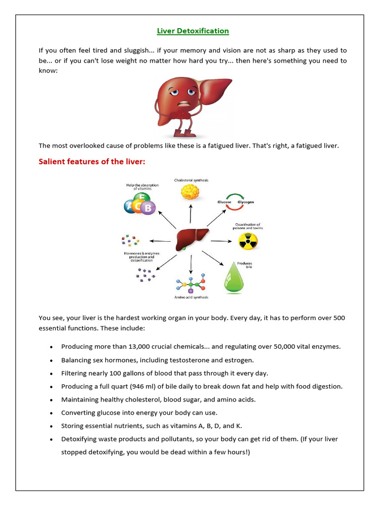 Liver Detoxification | PDF
