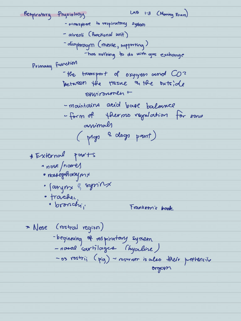 Respiratory (Sys Physio) 231212 174802 | PDF