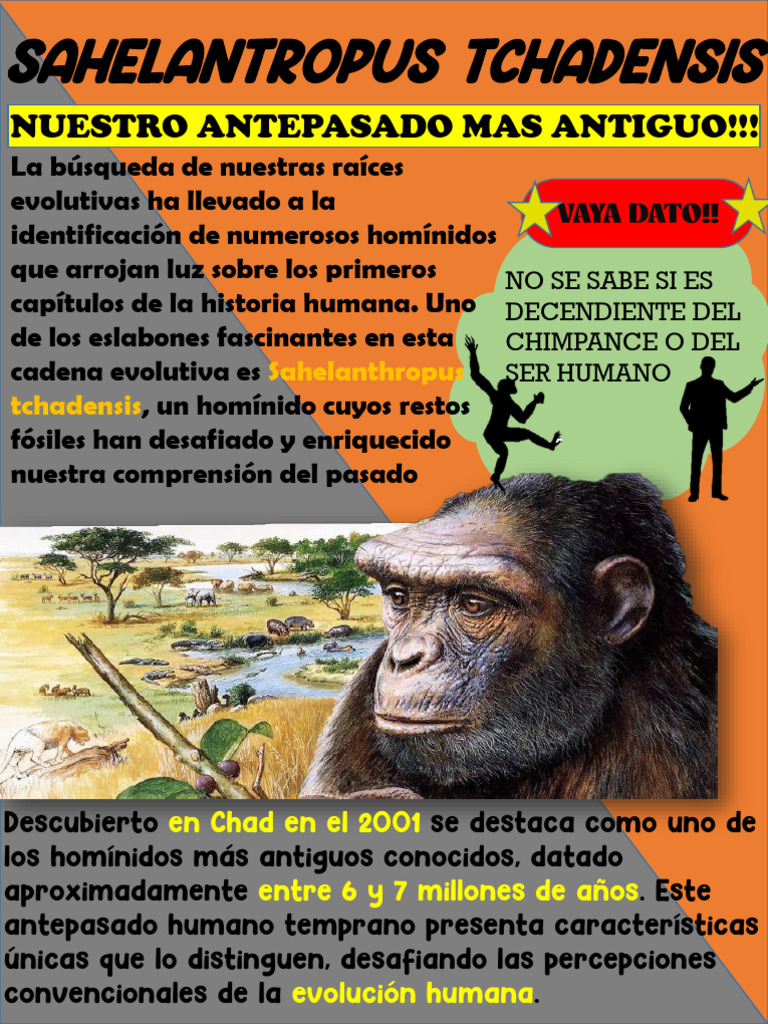 Sahelanthropus Tchadensis PDF | PDF