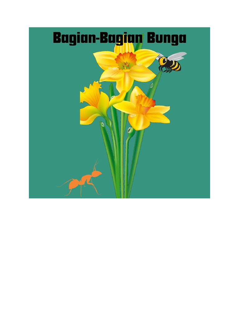 Bagian Bagian Bunga | PDF