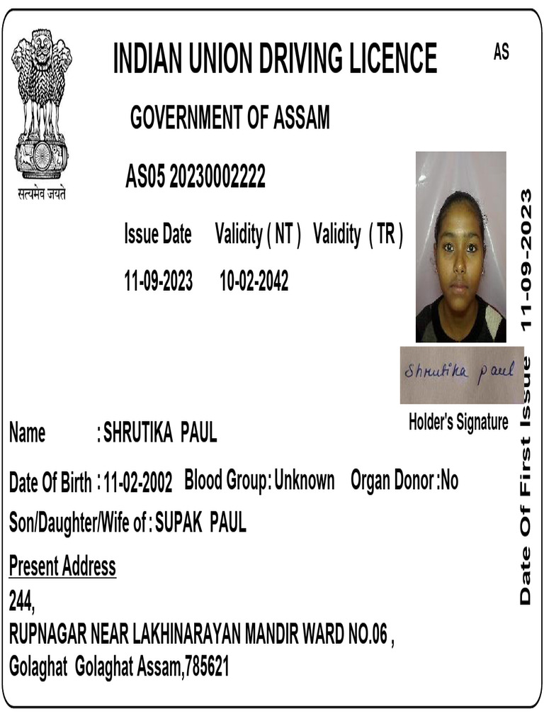 Assam Indian Union Driving Licence | PDF