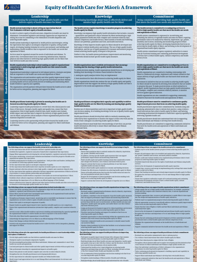 Equity of Health Care For Maori A Framework Jun14 | PDF | Health Equity ...