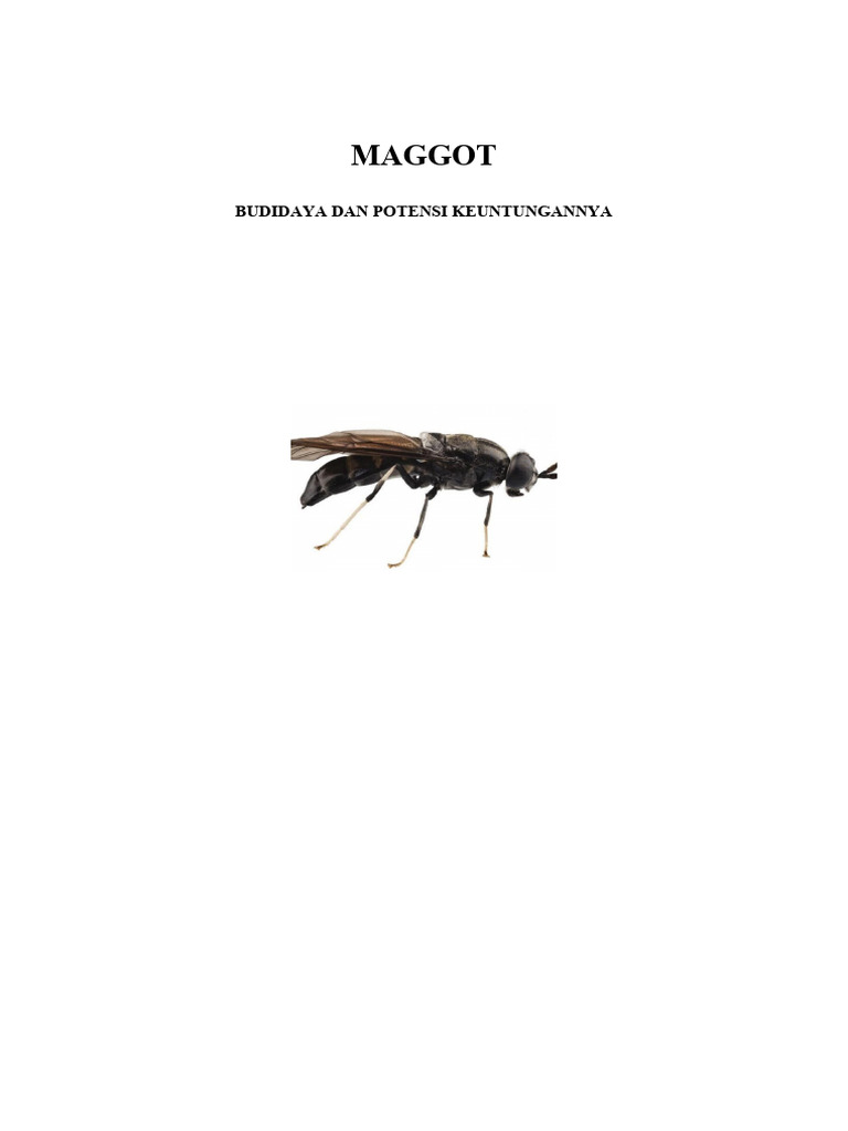 MAGGOT | PDF