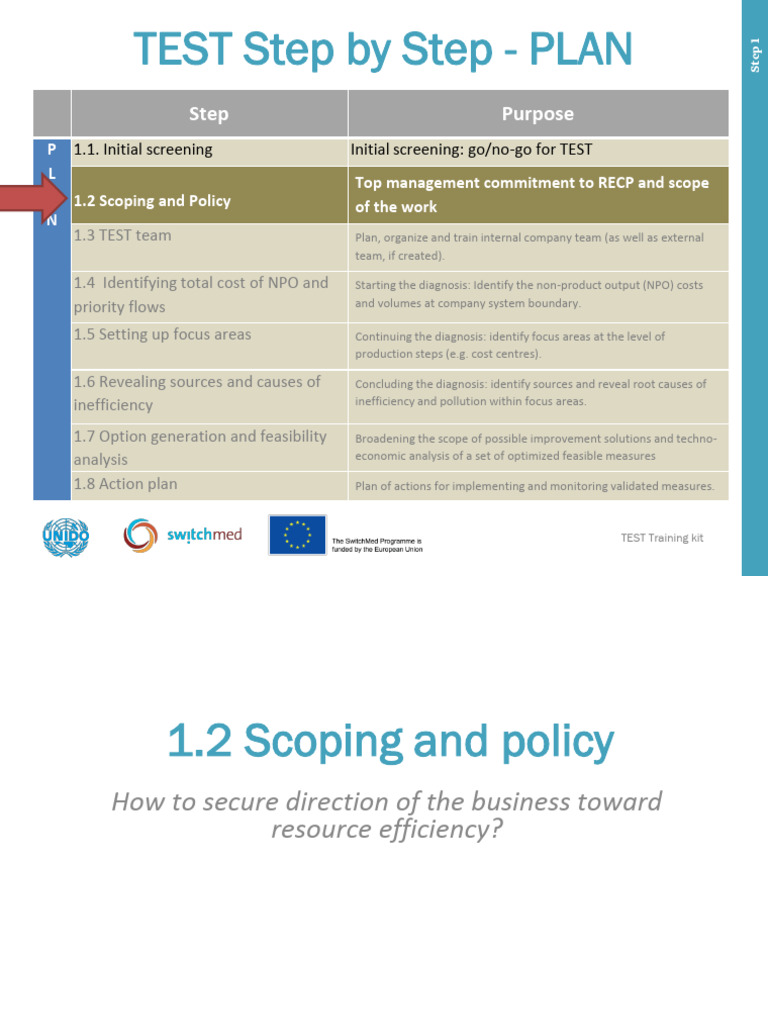 P 1.2 Scoping and Policy - EN | PDF