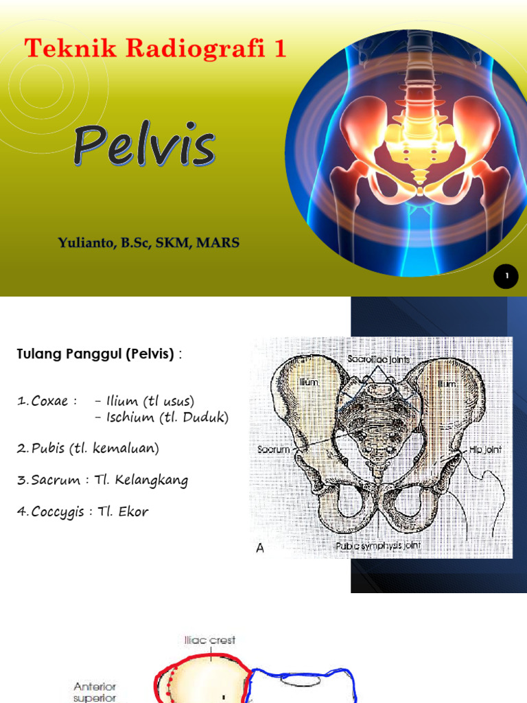 TR-1 Radiografi Pelvis, Sacrum & Coccygis | PDF