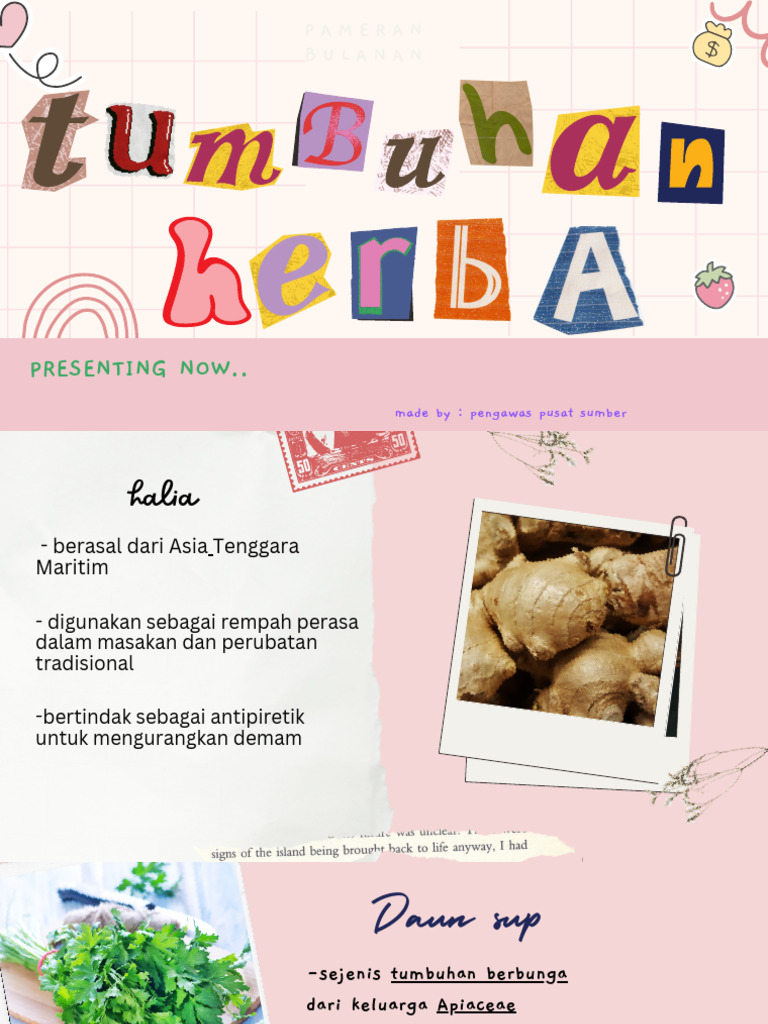 Pameran Tumbuhan Herba | PDF