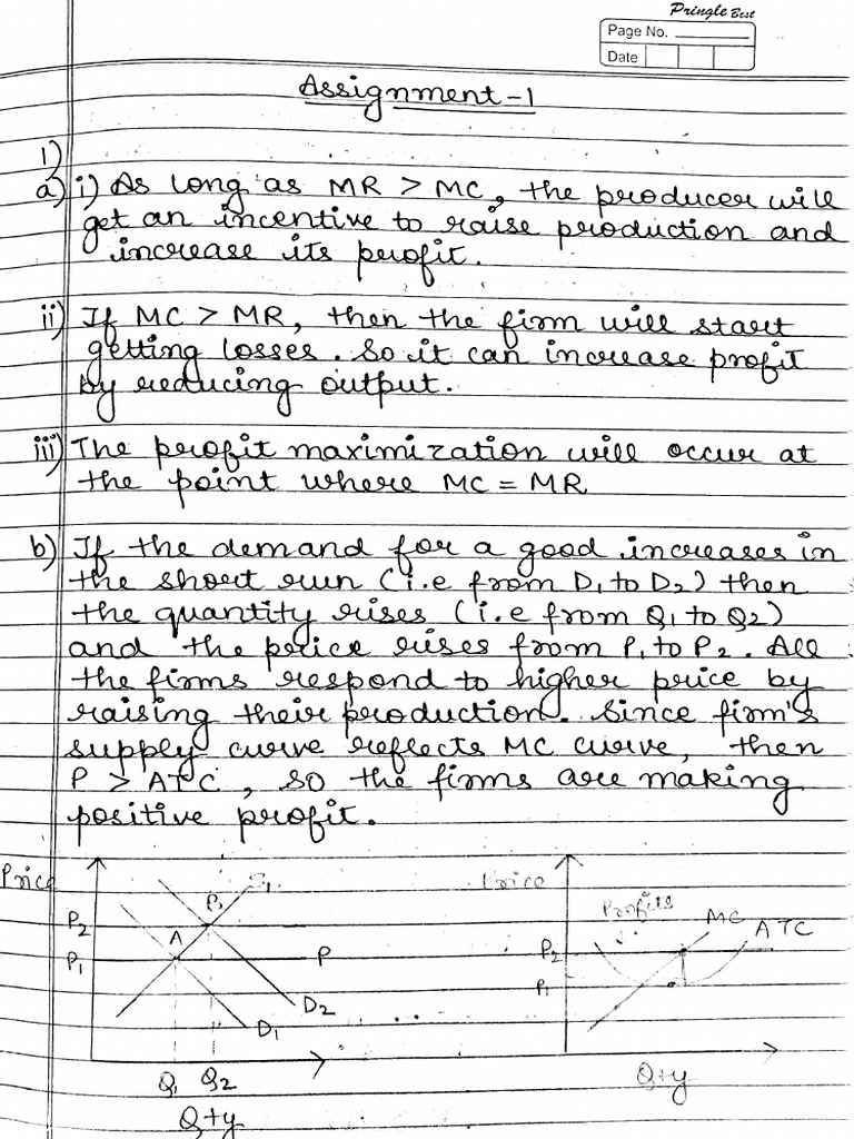 Micro Assignment 1 | PDF